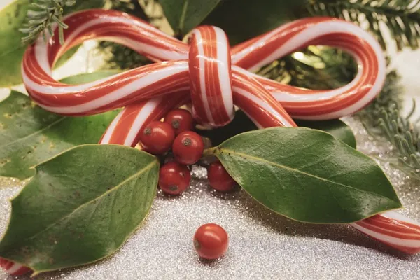 Fun Facts About Candy Canes - MyLiberla Has The Best News And Articles